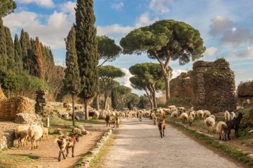 15 Most Beautiful Streets in Rome, Italy - Best Rome streets to explore