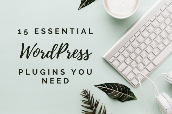 15 Essential WordPress Plugins you MUST HAVE - ShegoWandering